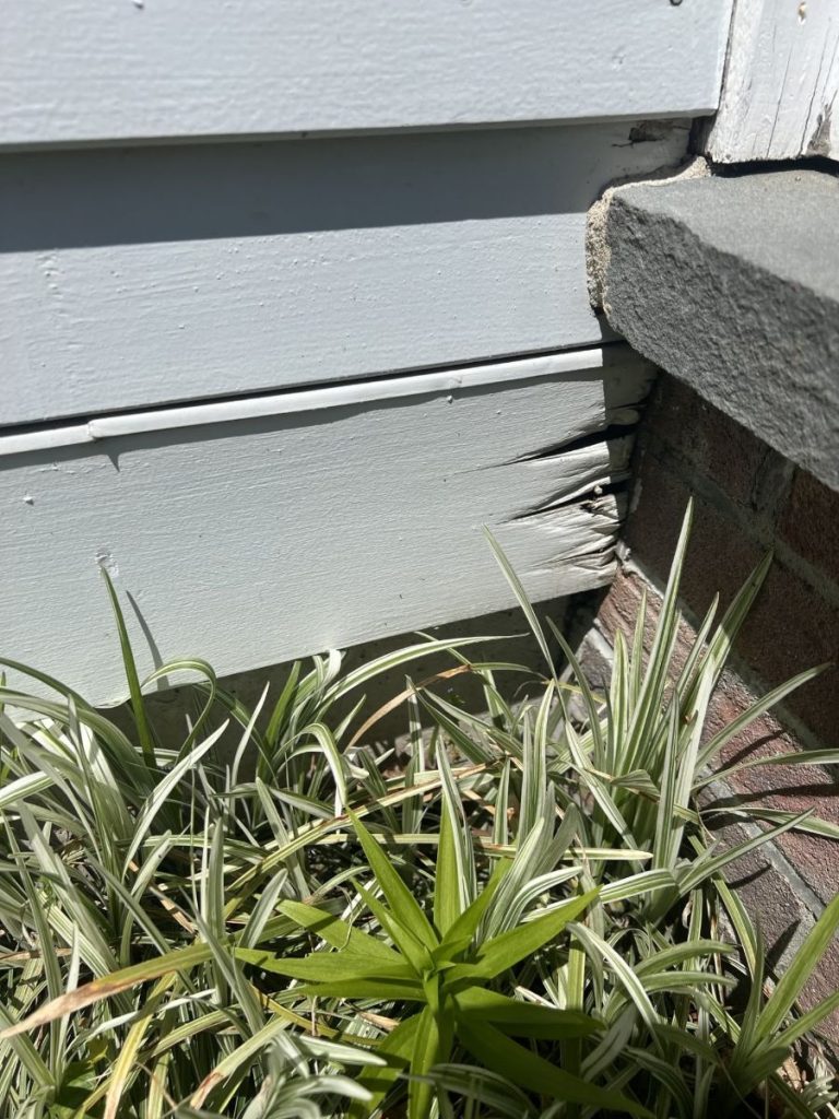 What Is The Best Material For Exterior Trim To Be Made Out Of? - LOPCO ...